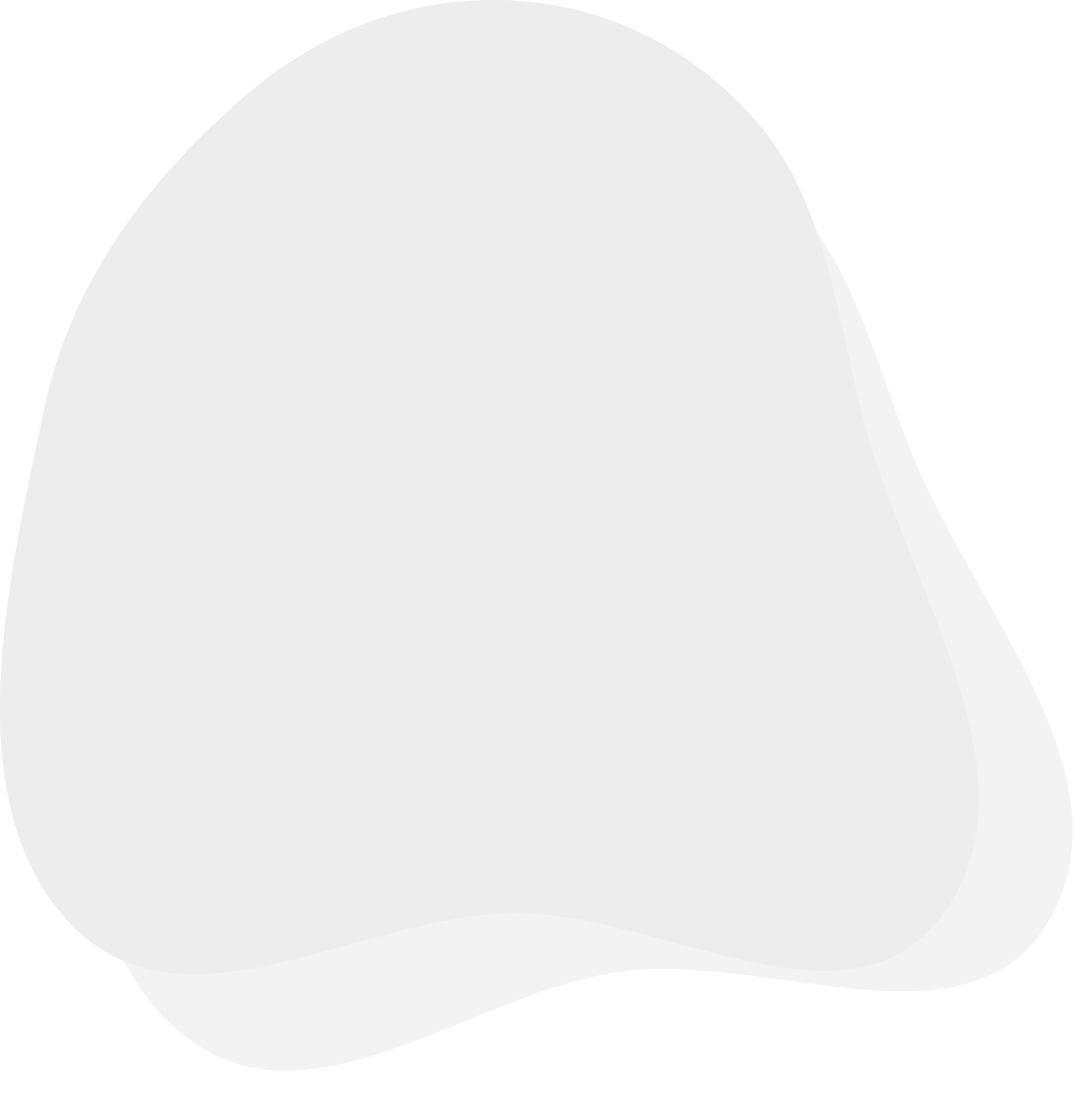 Jacques Cartier Facts For Kids | DIY.org