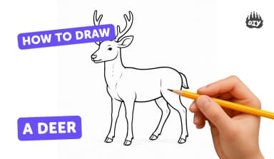 elk drawing easy