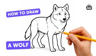 grey wolf drawing easy