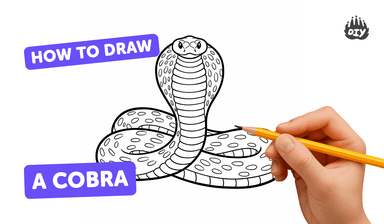 step by step drawing snake