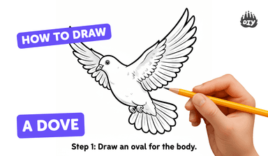 mockingbird flying drawing easy