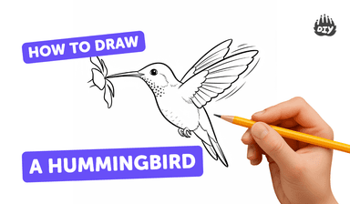 mockingbird flying drawing easy