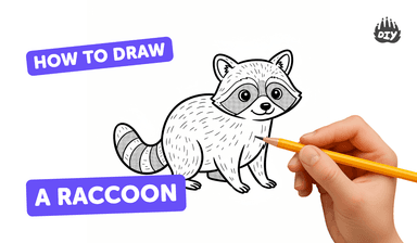 easy racoon drawing