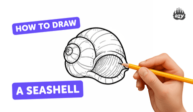 how to draw seashells