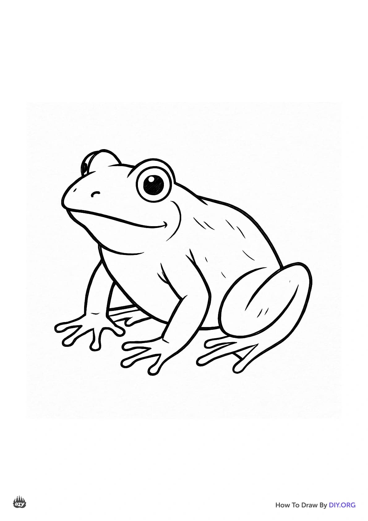 amphibians examples drawing