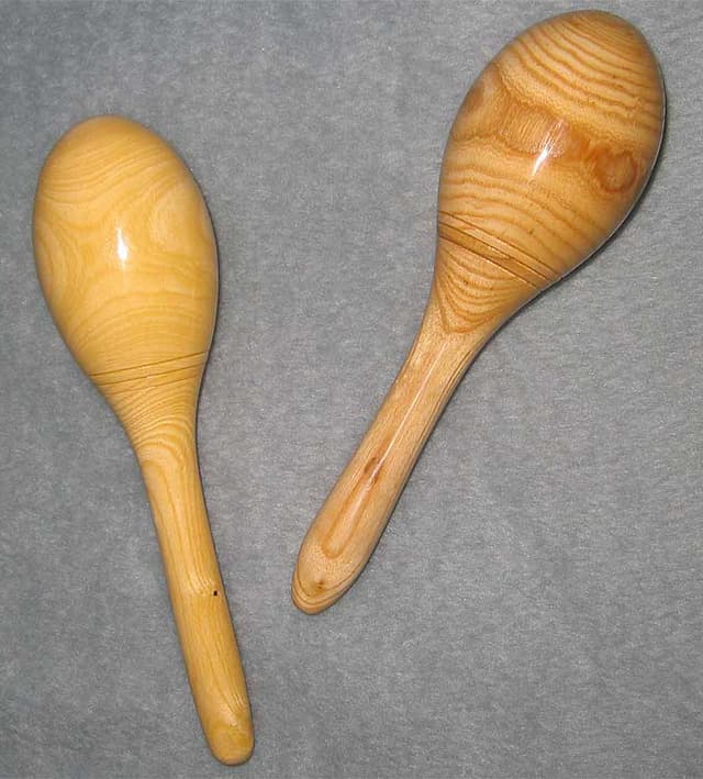 maracas Facts For Kids | DIY.org