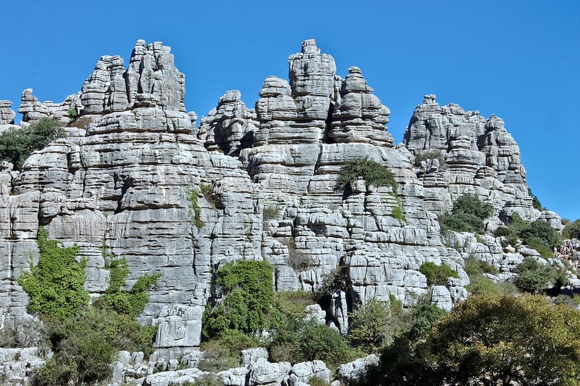 limestone Facts For Kids | DIY.org